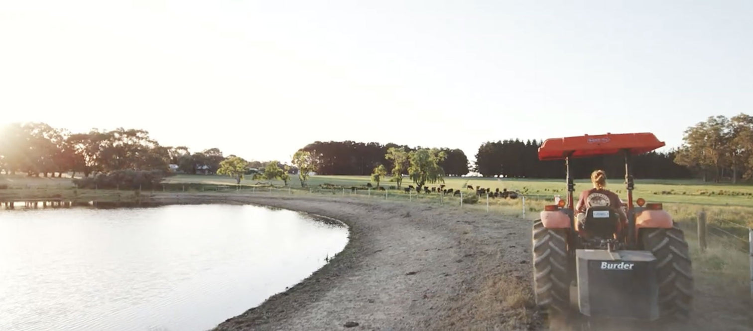 The Farm at Beerfarm