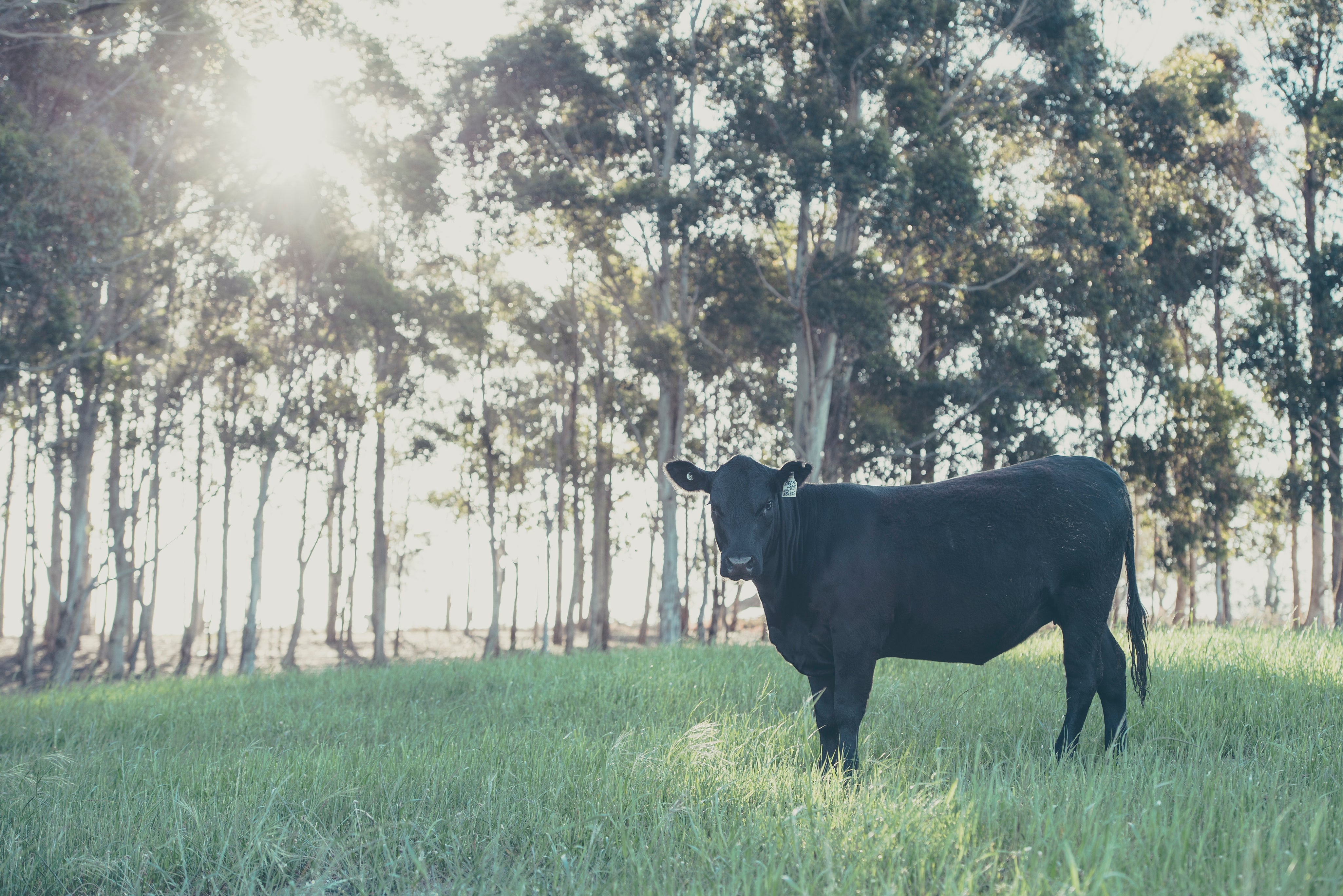 Get in Touch - Contact us at Beerfarm